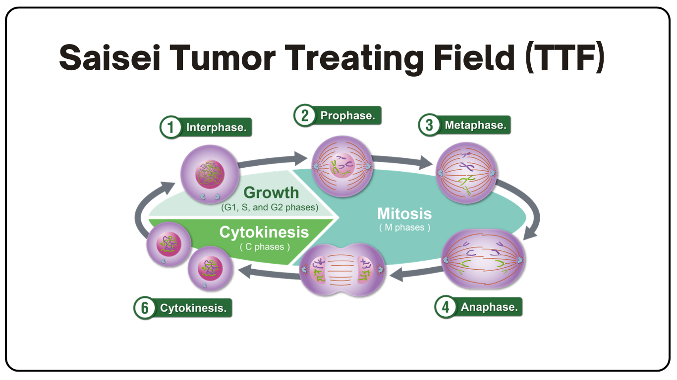 Saisei Immunotherapy Clinics | GcMAF integrative medicine immunotherapy ...