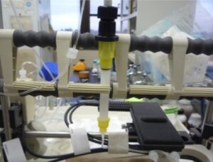 About MAF | Saisei Immunotherapy Clinics