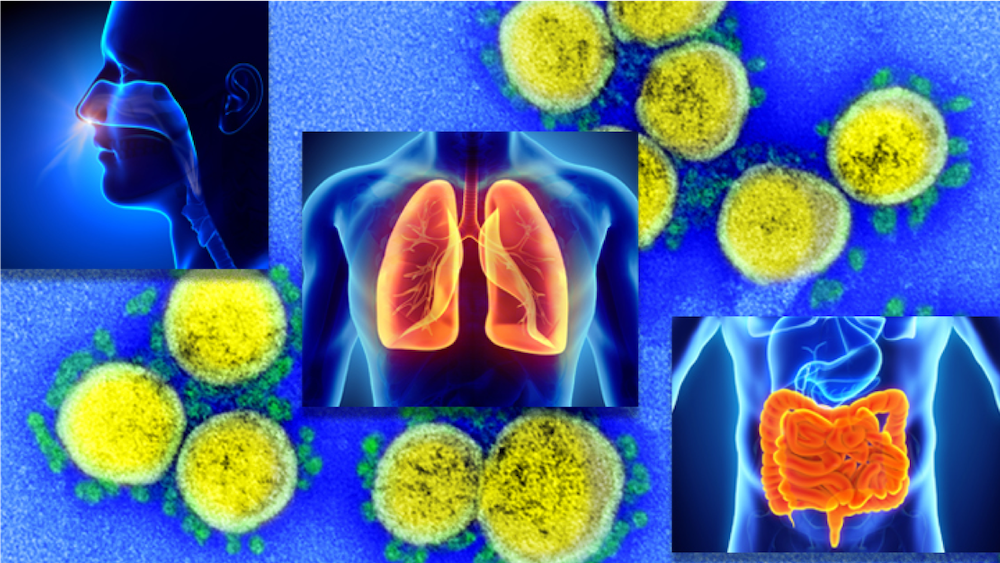 Infectious diseases | Saisei Immunotherapy Clinics