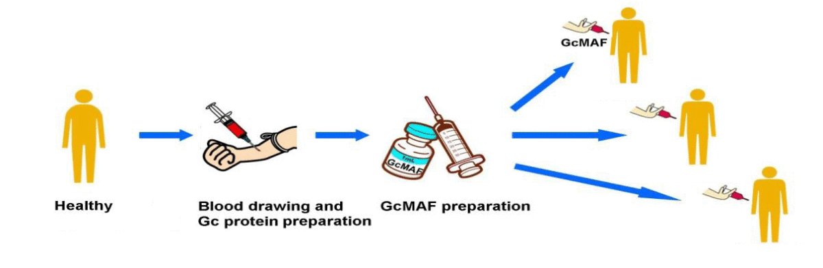 GcMAF (Gc Protein derived Macrophage Activating Factor) GcMAF treatment ...