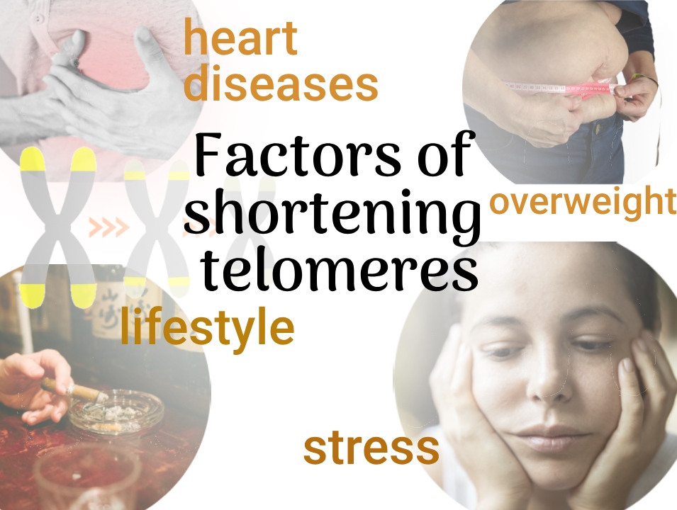 Antiaging (Rejuvenation and Longevity) | Saisei Immunotherapy Clinics